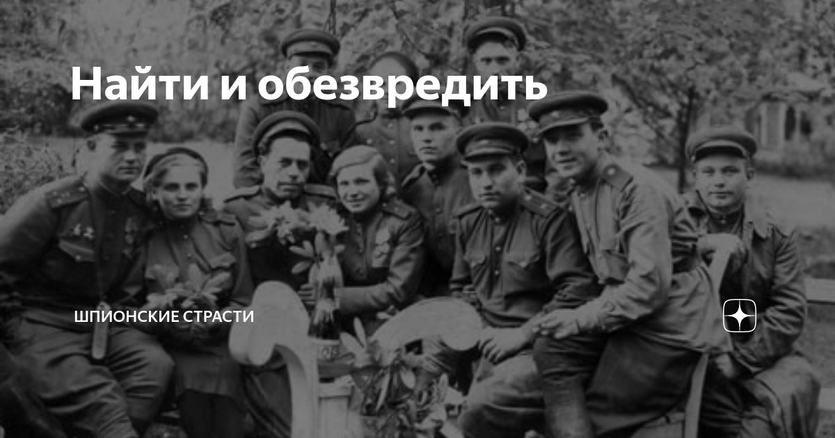 Найти и обезвредить Шпионские страсти Дзен