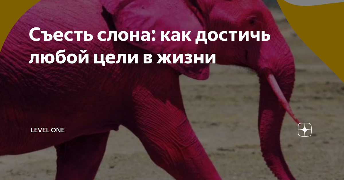 Съесть слона: как достичь любой цели в жизни | Level One | Дзен