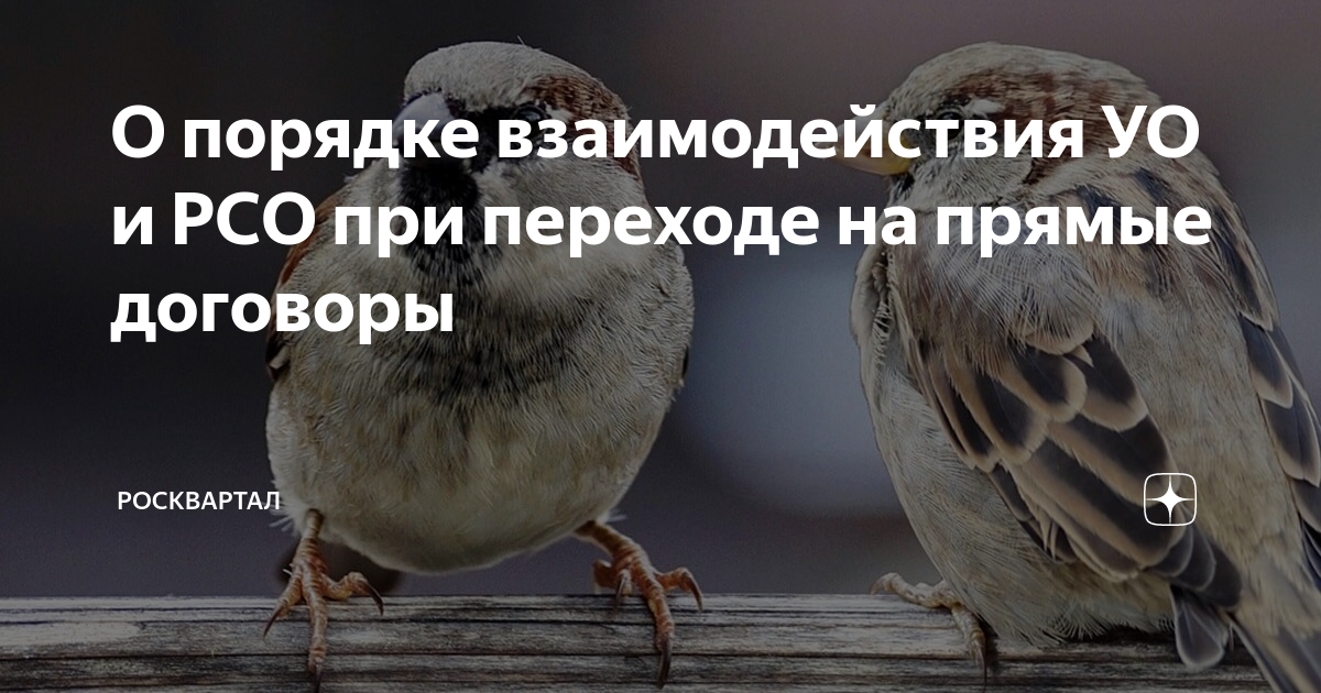 О порядке взаимодействия УО и РСО при переходе на прямые договоры РосКвартал первая