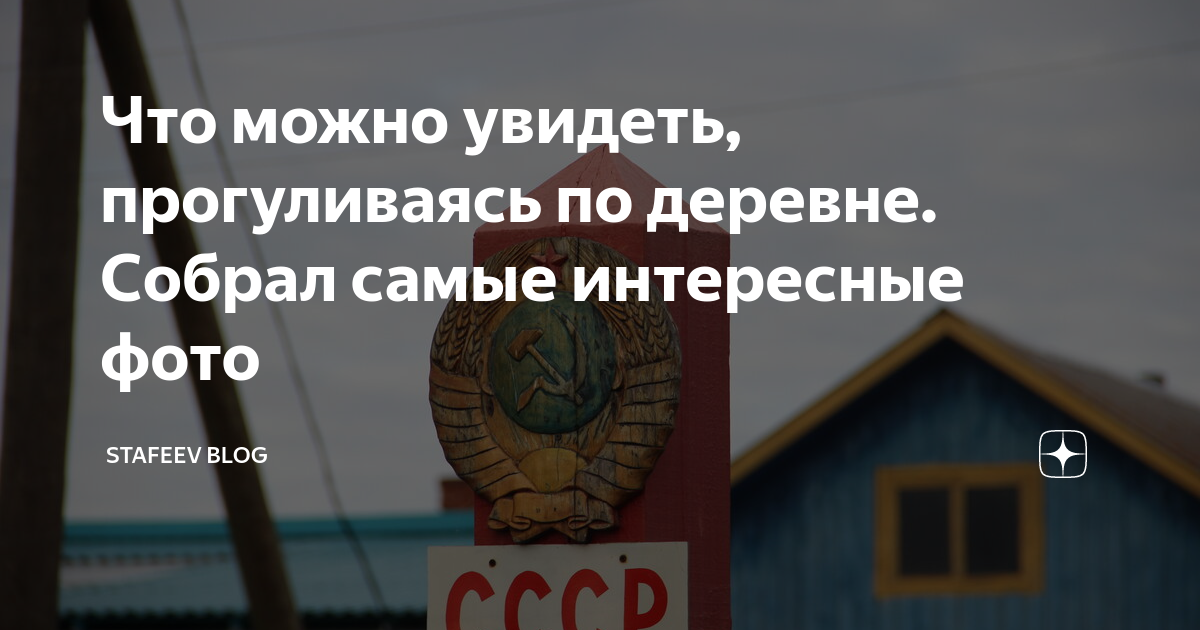 Что можно увидеть, прогуливаясь по деревне. Собрал самые интересные фото | STAFEEV BLOG | Дзен
