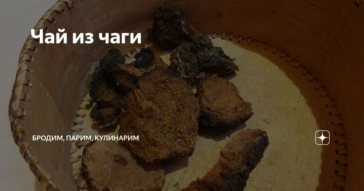 Чай из чаги | БРОдим, ПАРим, КУЛинарим | Дзен
