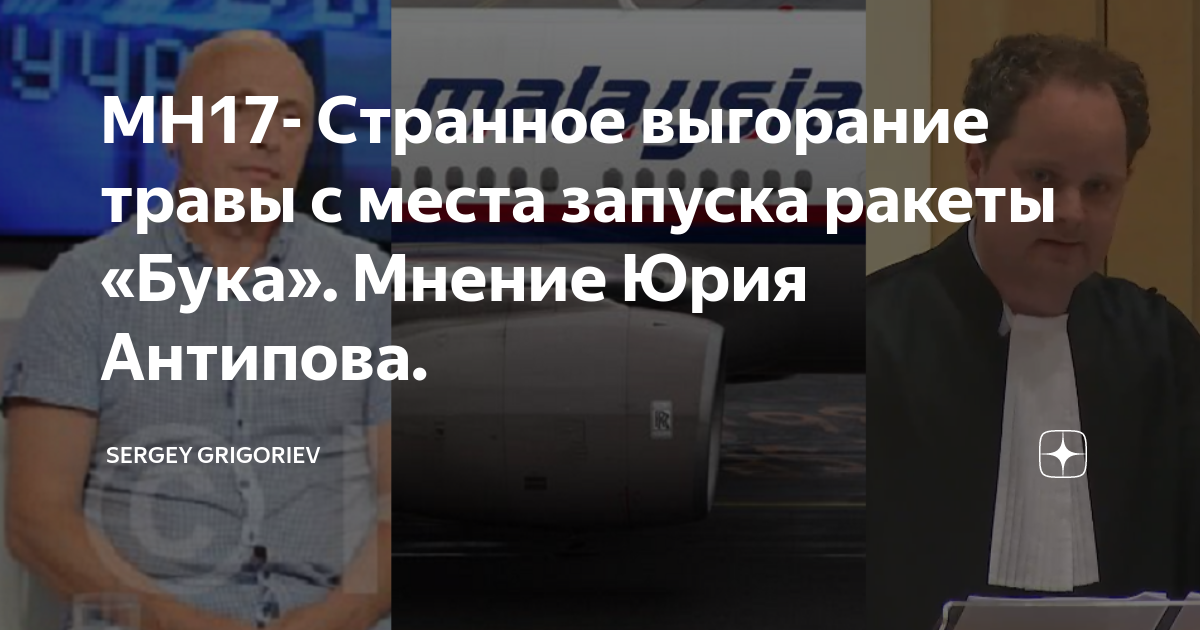 MH17- Странное выгорание травы с места запуска ракеты «Бука». Мнение Юрия Антипова. | Sergey ...