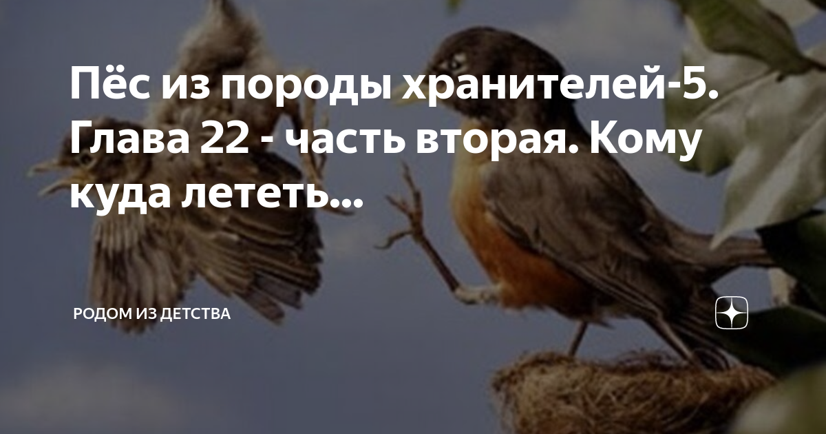 Пёс из породы хранителей-5. Глава 22 - часть вторая. Кому куда лететь ...