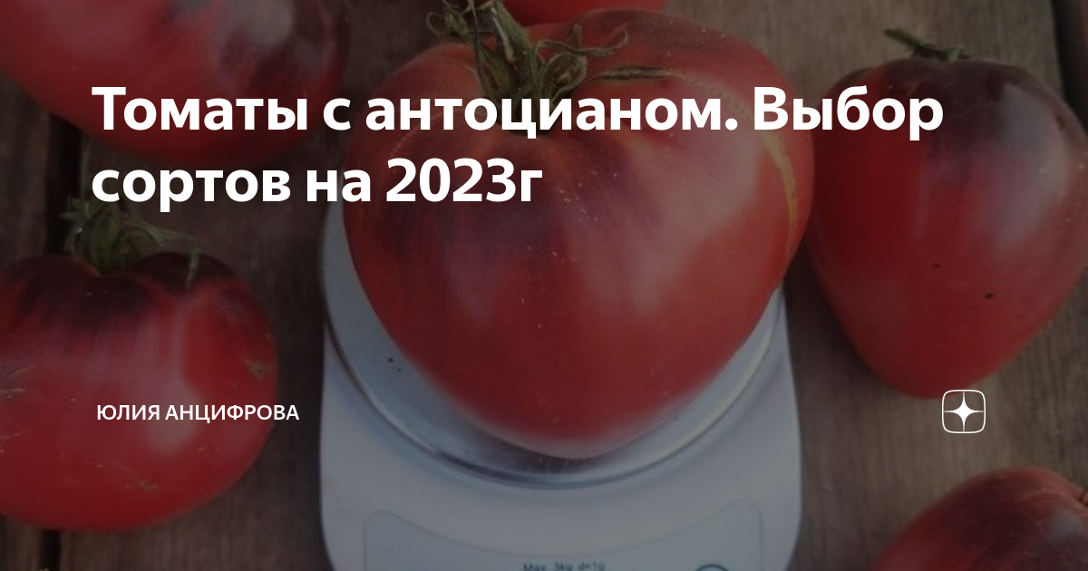 Томаты с антоцианом. Выбор сортов на 2023г | Юлия Анцифрова В ОГОРОДЕ ...