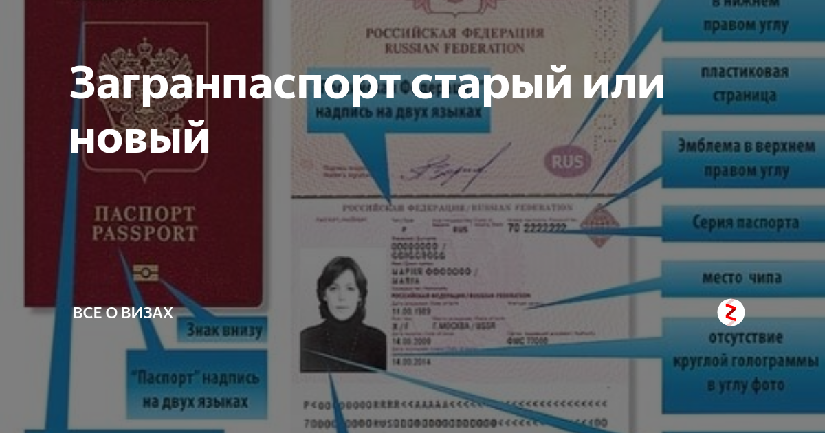 Загранпаспорт старый или новый Все о Визах Дзен
