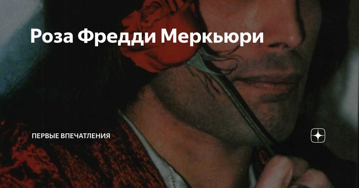 Роза Фредди Меркьюри Первые впечатления Дзен