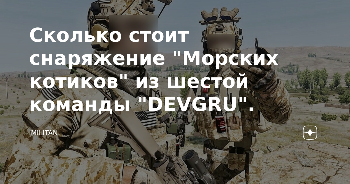 Сколько стоит снаряжение "Морских котиков" из шестой команды "DEVGRU". | MILITAN | Дзен