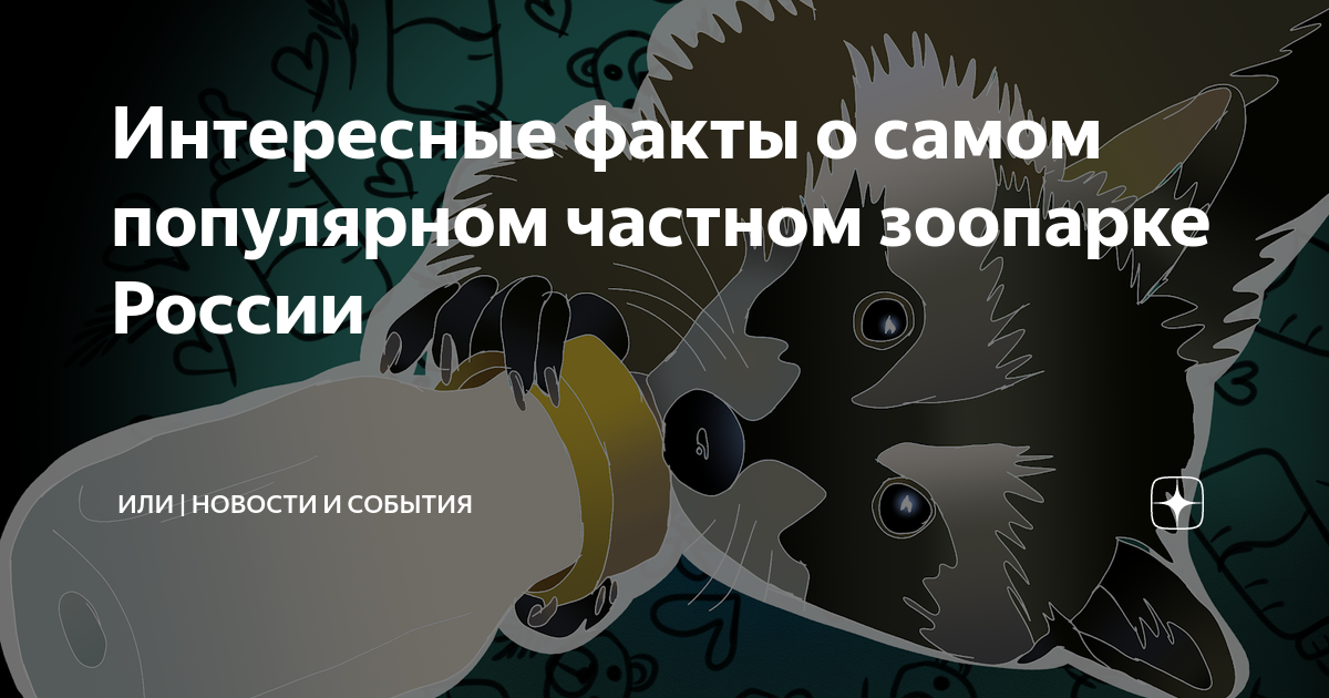 Интересные факты о самом популярном частном зоопарке России | Профессор ...
