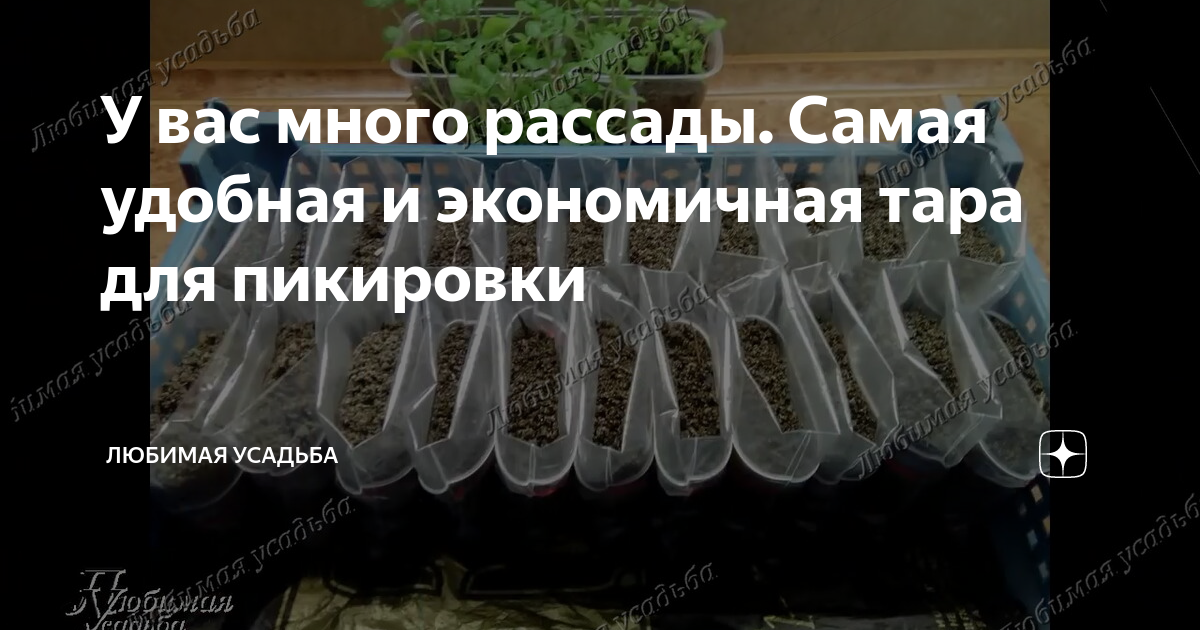 У вас много рассады. Самая удобная и экономичная тара для пикировки ...