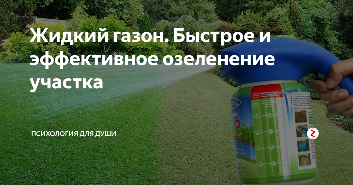 Жидкий газон. Быстрое и эффективное озеленение участка | Психология для ...