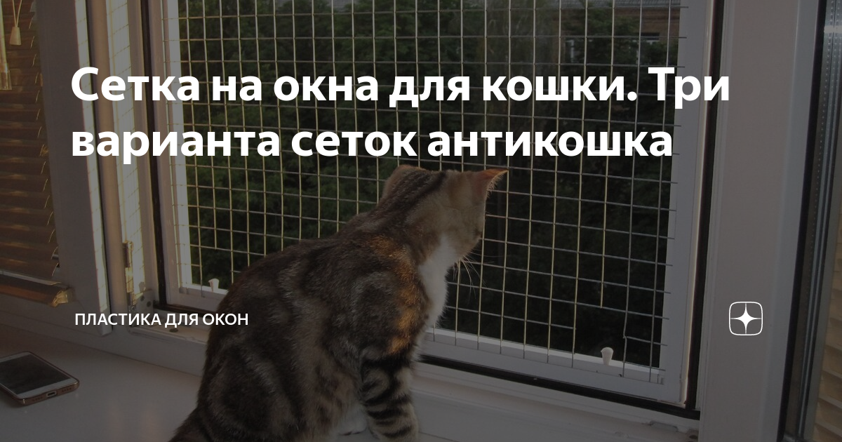 Сетка на окна для кошки. Три варианта сеток антикошка | Райт Окна | Дзен