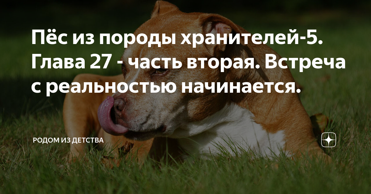 Пёс из породы хранителей-5. Глава 27 - часть вторая. Встреча с ...