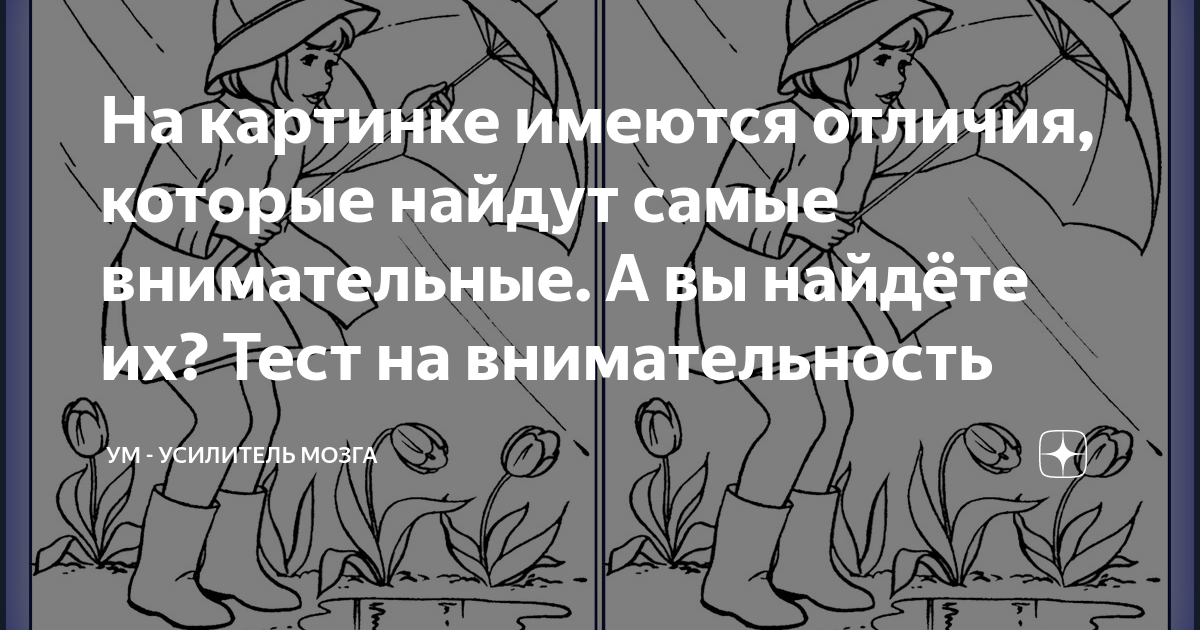 На картинке имеются отличия которые найдут самые внимательные А вы
