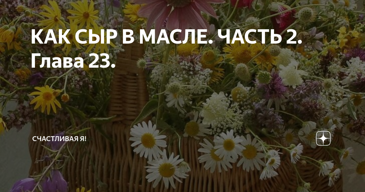 КАК СЫР В МАСЛЕ. ЧАСТЬ 2. Глава 23. | Счастливая Я! | Дзен