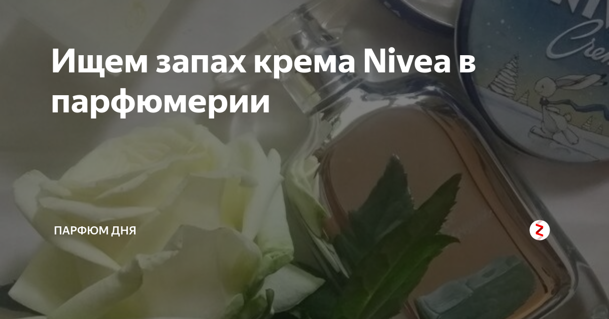 Ищем запах крема Nivea в парфюмерии | Парфюм дня | Дзен