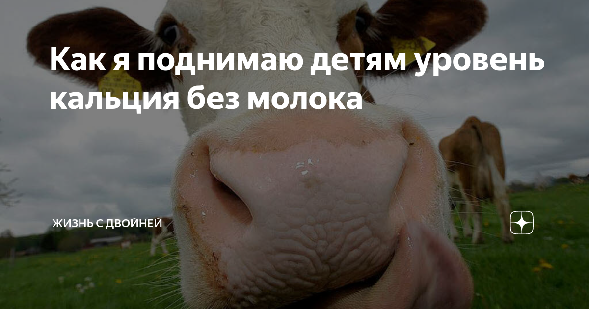 Как я поднимаю детям уровень кальция без молока | Жизнь с двойней | Дзен