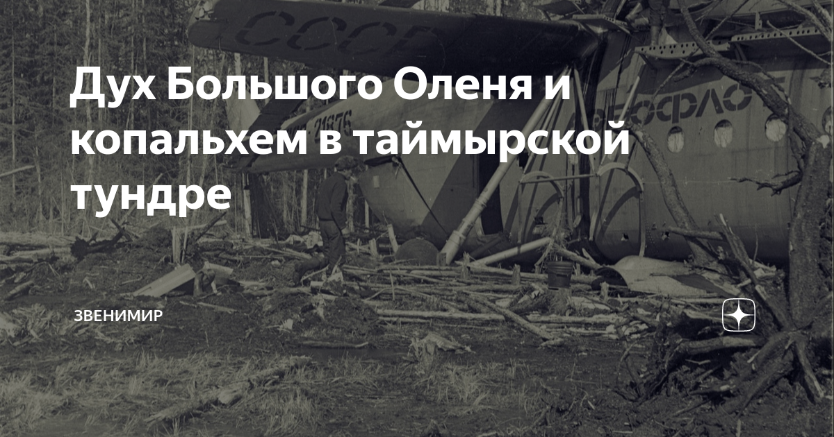 Дух Большого Оленя и копальхем в таймырской тундре | Звенимир | Дзен
