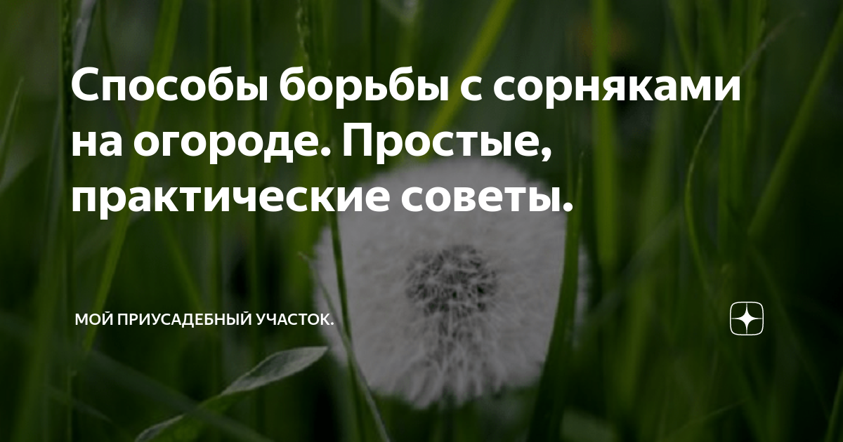 Способы борьбы с сорняками на огороде. Простые, практические советы ...