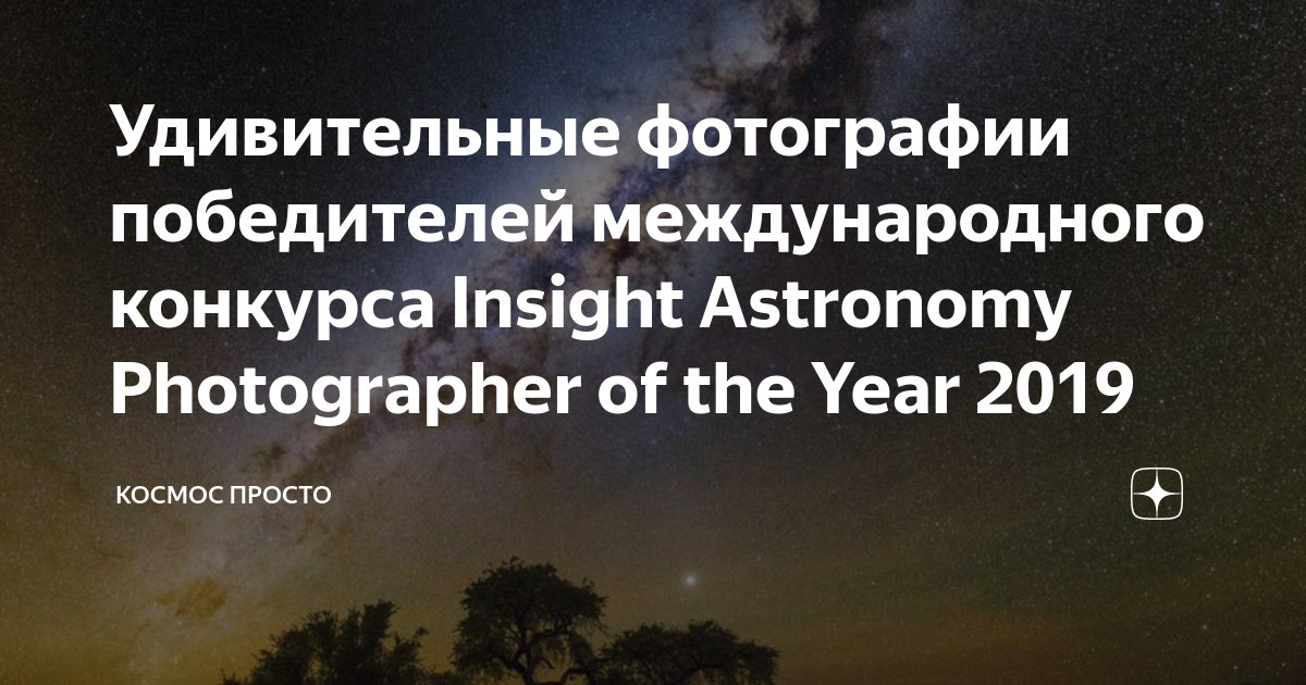 Удивительные фотографии победителей международного конкурса Insight ...