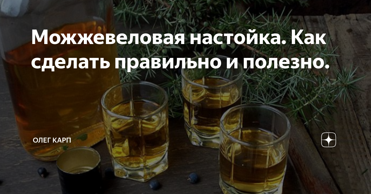 Можжевеловая настойка. Как сделать правильно и полезно. | Олег Карп | Дзен