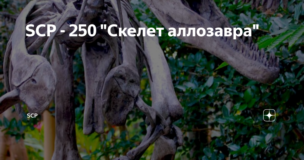 SCP - 250 "Скелет аллозавра" | SCP | Дзен