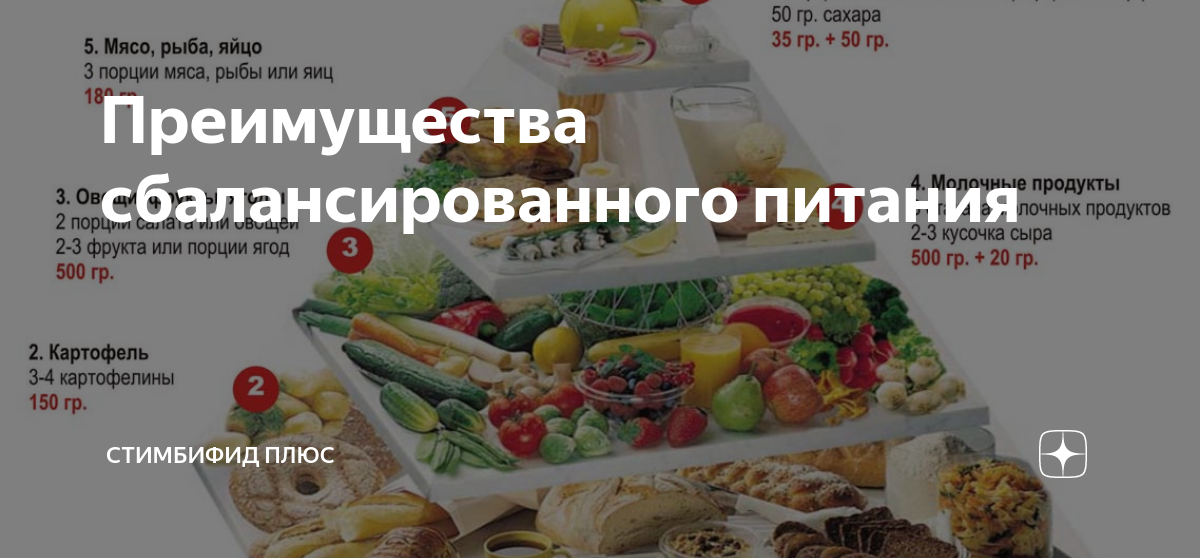 Преимущества сбалансированного питания | Стимбифид Плюс | Дзен