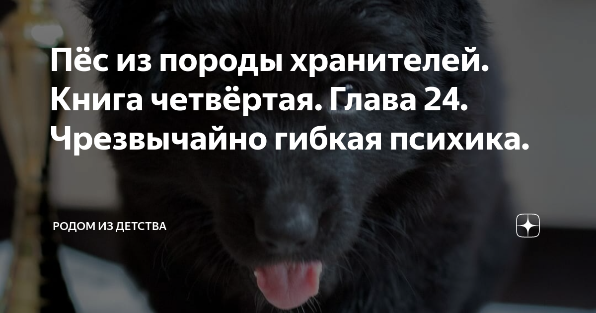 Пёс из породы хранителей. Книга четвёртая. Глава 24. Чрезвычайно гибкая ...
