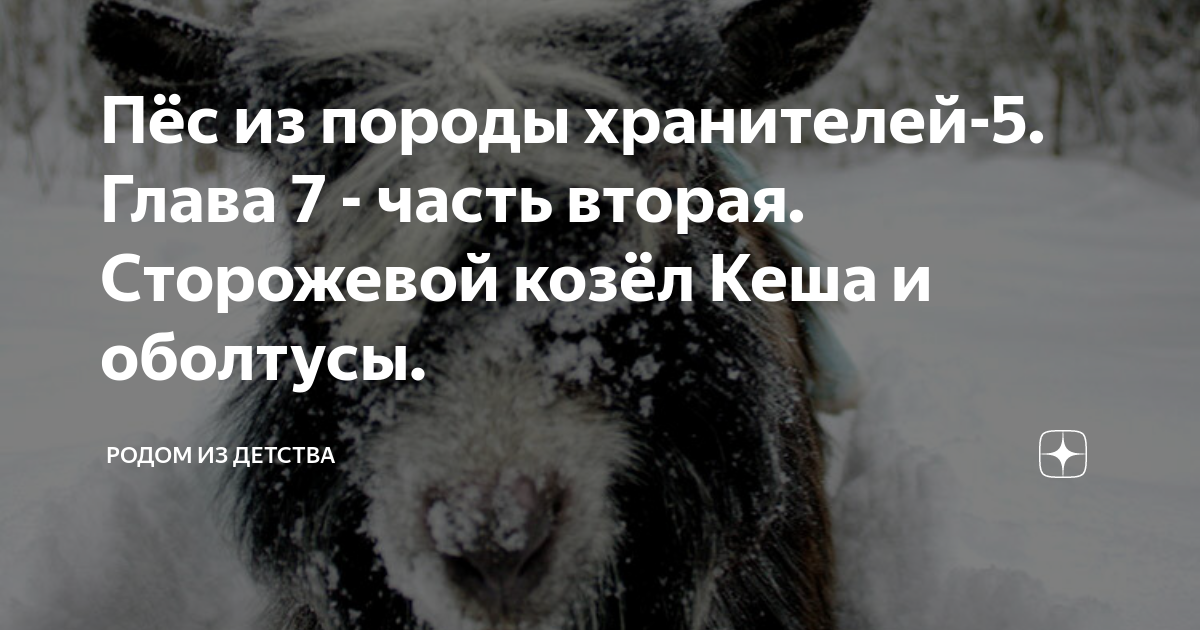 Пёс из породы хранителей-5. Глава 7 - часть вторая. Сторожевой козёл ...