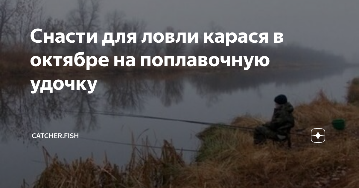 Снасти для ловли карася в октябре на поплавочную удочку | Catcher.fish ...