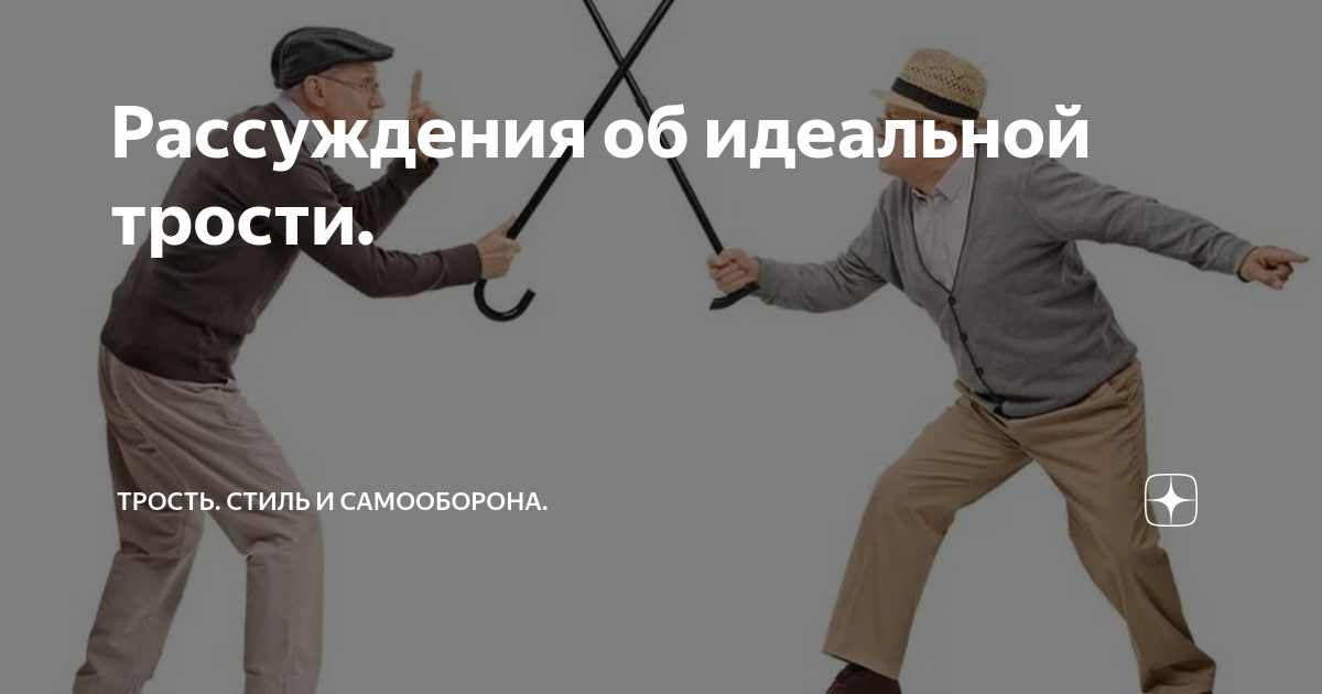 Рассуждения об идеальной трости. | Трость. Стиль и самооборона. | Дзен