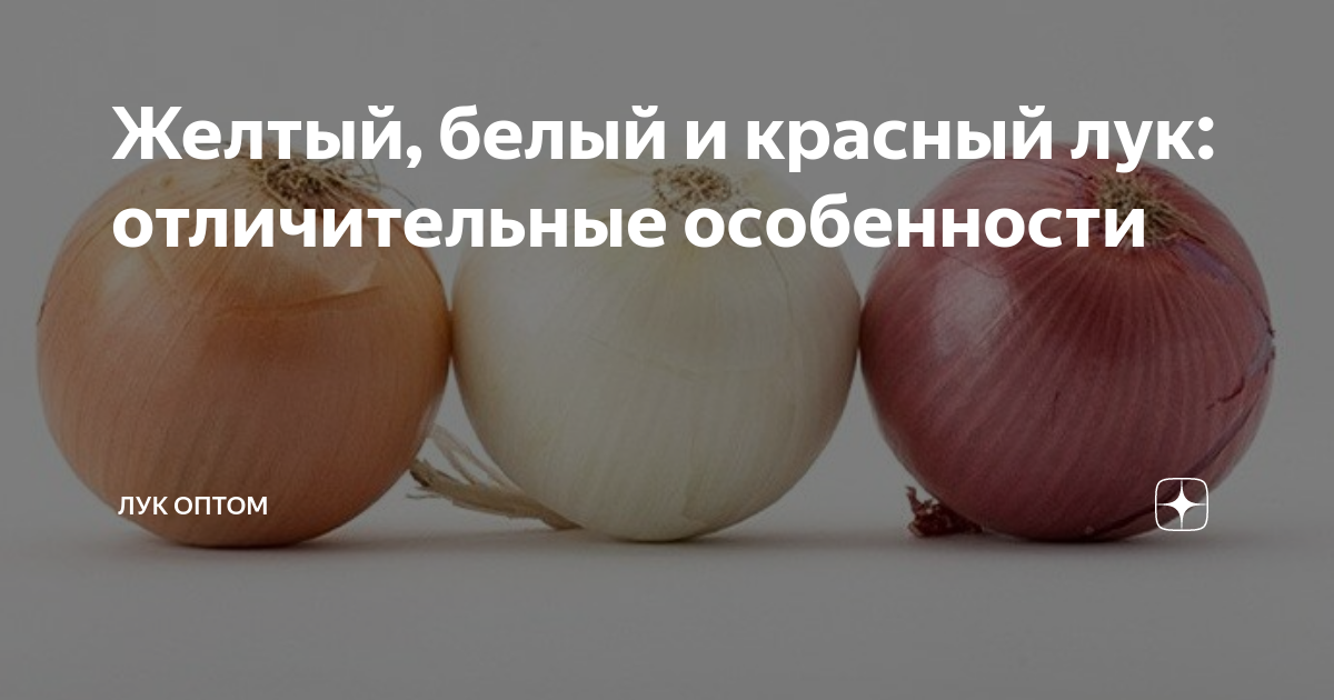 Желтый, белый и красный лук: отличительные особенности | Лук Оптом | Дзен