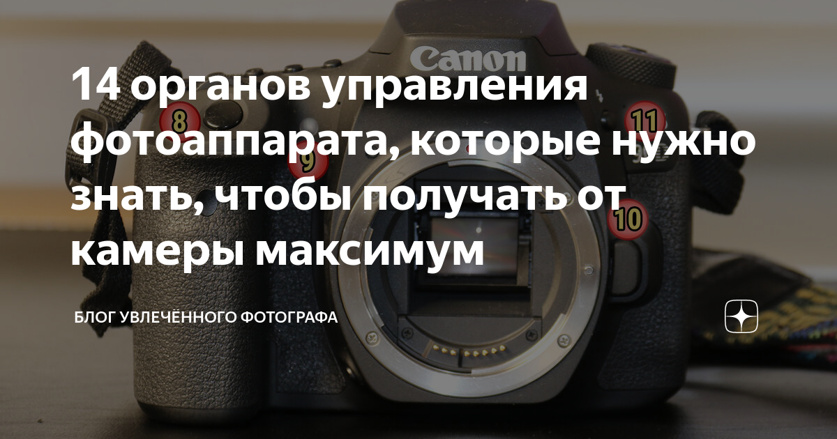 14 органов управления фотоаппарата, которые нужно знать, чтобы получать ...