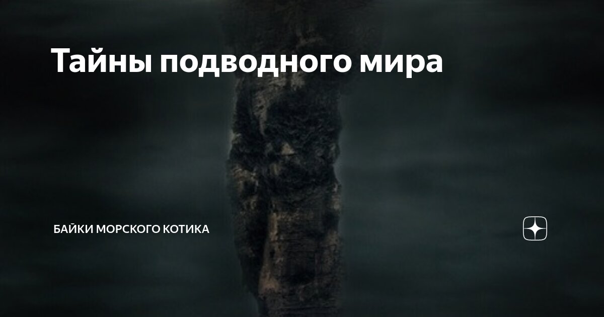 Тайны подводного мира | Байки Морского Котика | Дзен
