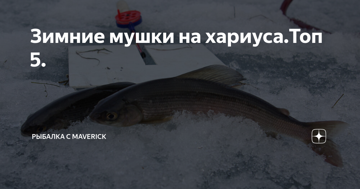 Зимние мушки на хариуса.Топ 5. | Рыбалка с Maverick | Дзен