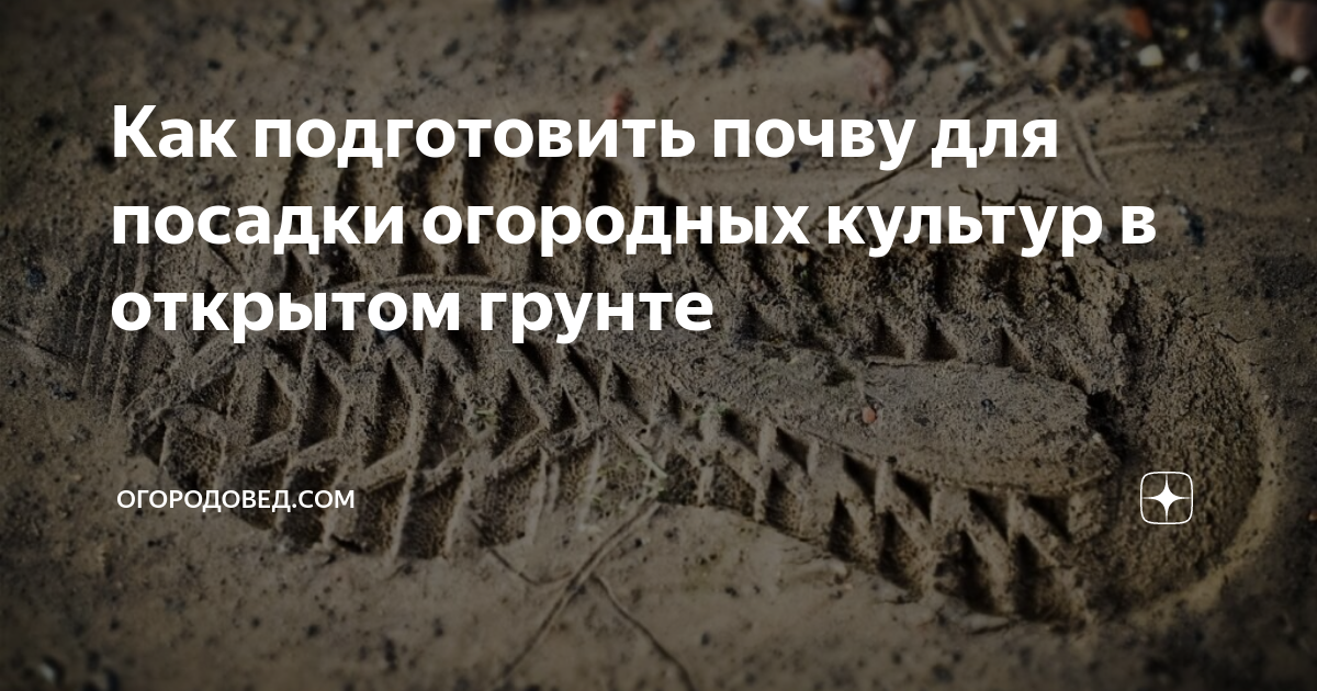 Как подготовить почву для посадки огородных культур в открытом грунте ...