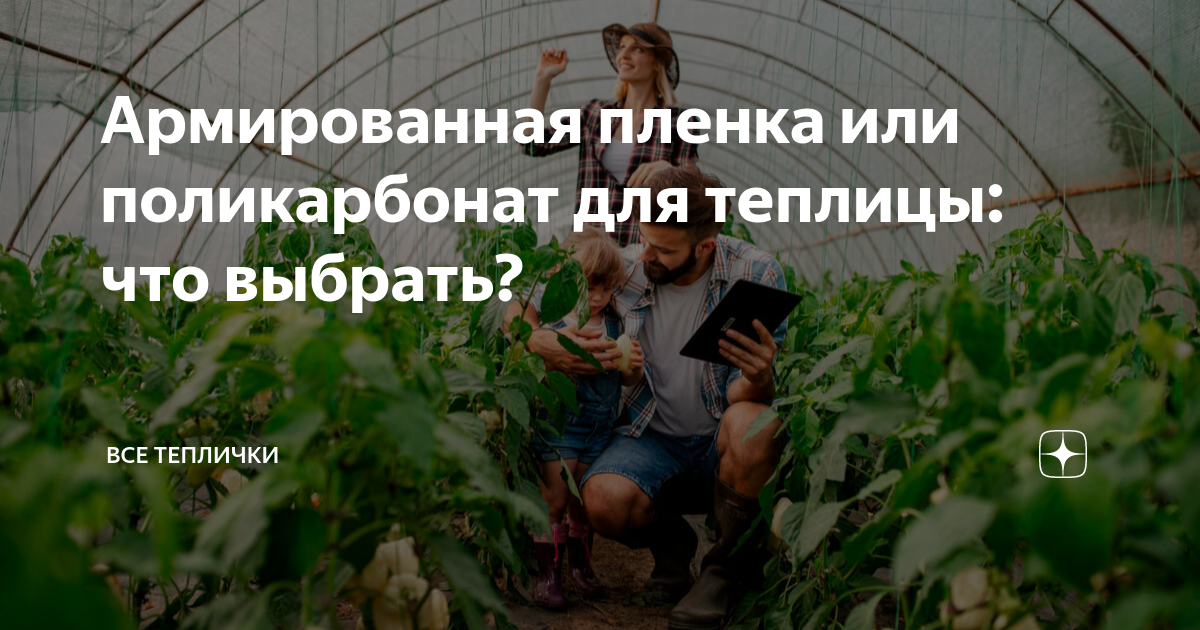 Армированная пленка или поликарбонат для теплицы: что выбрать? | Все ...