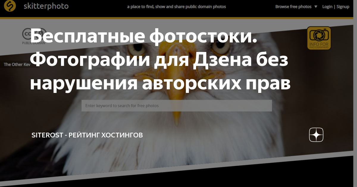 Бесплатные фотостоки. Фотографии для Дзена без нарушения авторских прав | Siterost - Рейтинг ...