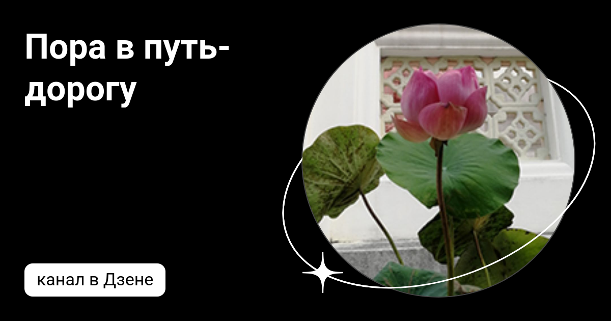 Пора в путь-дорогу | Дзен