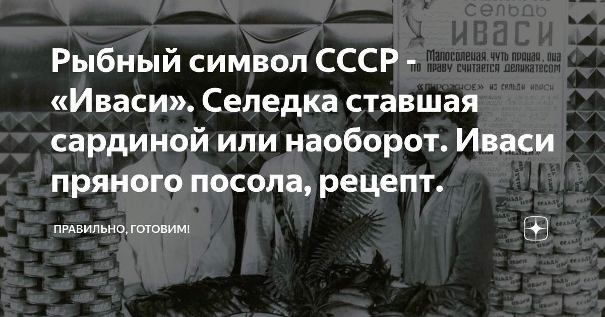 Рыбный символ СССР - «Иваси». Селедка ставшая сардиной или наоборот ...