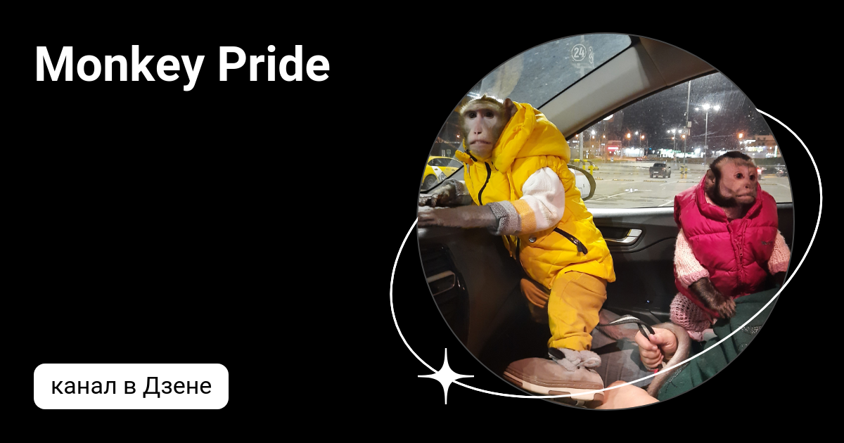Monkey Pride | Дзен