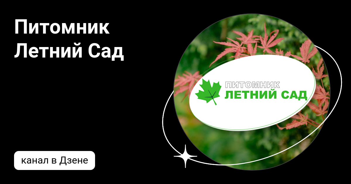 Питомник Летний Сад | Дзен