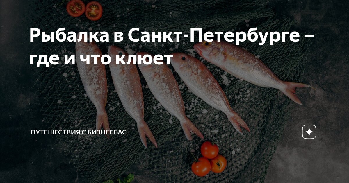 Рыбалка в Санкт-Петербурге – где и что клюет | Путешествия с БизнесБас ...