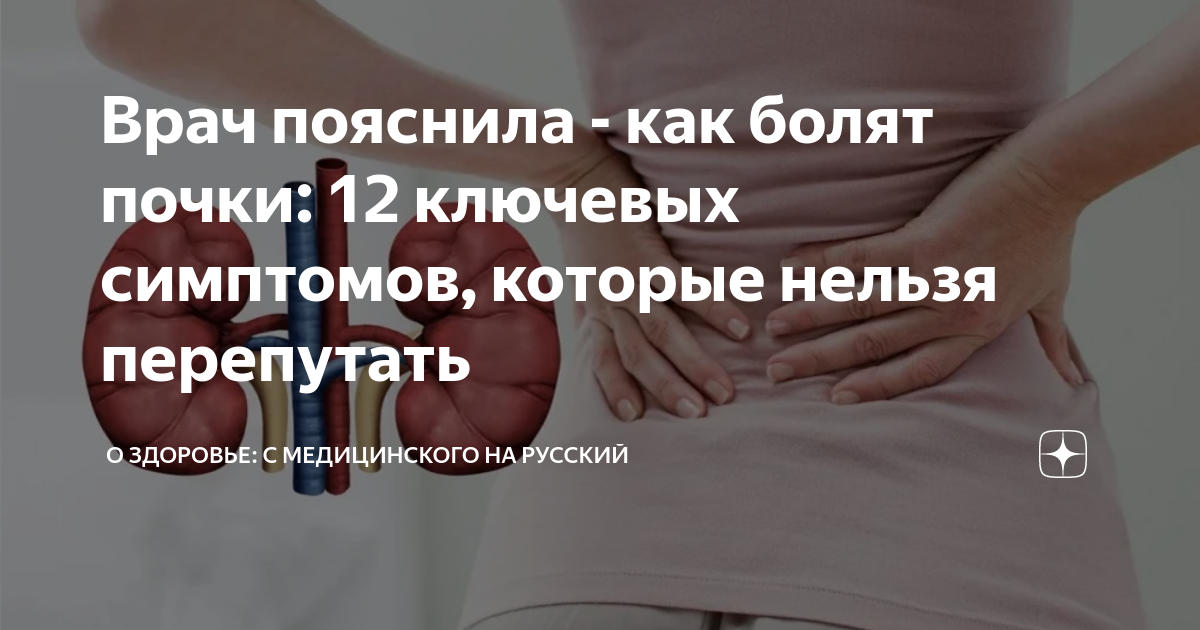 Врач пояснила - как болят почки: 12 ключевых симптомов, которые нельзя ...