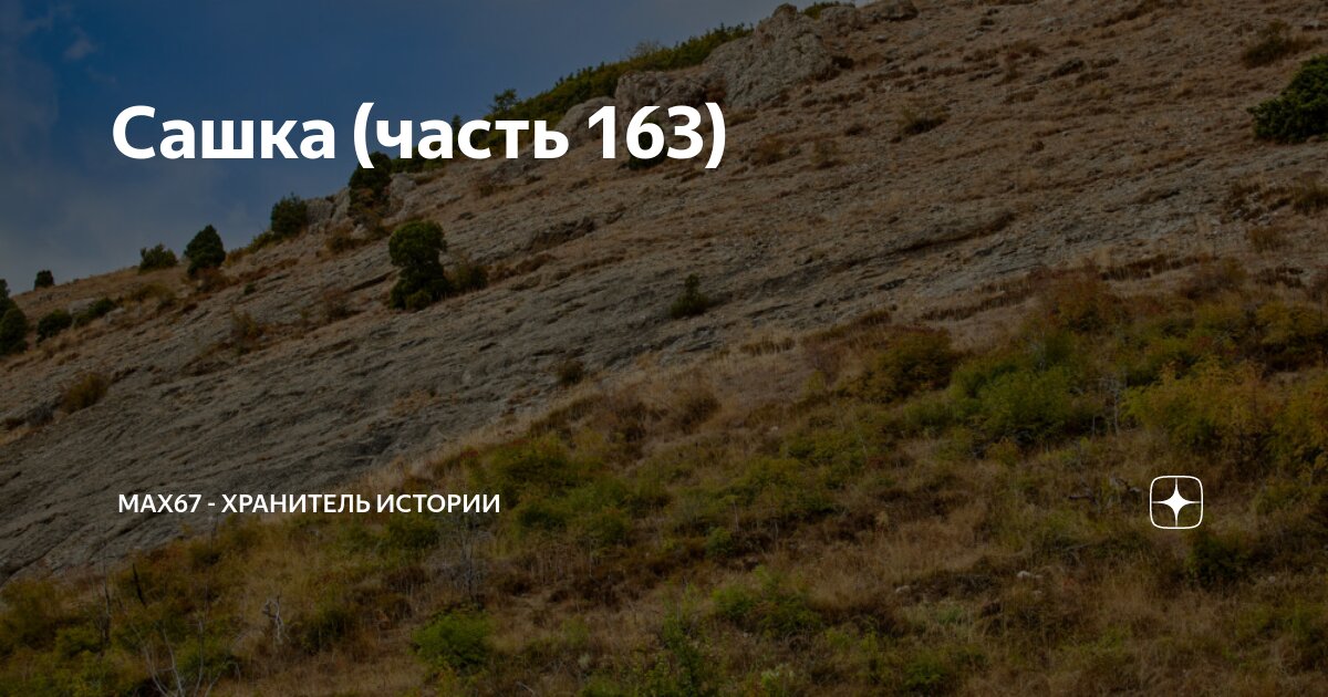 Сашка (часть 163) | MAX67 - Хранитель Истории | Дзен