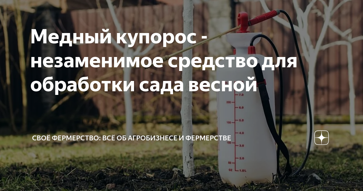 Медный купорос - незаменимое средство для обработки сада весной | Своё ...