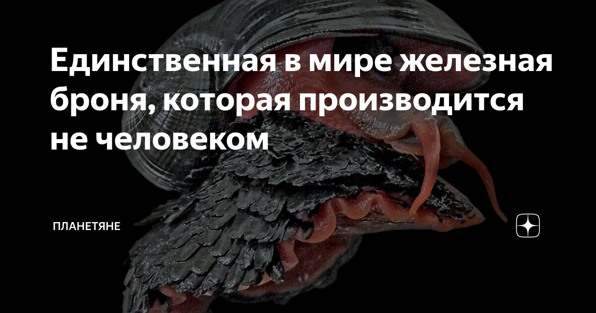 Единственная в мире железная броня которая производится не человеком