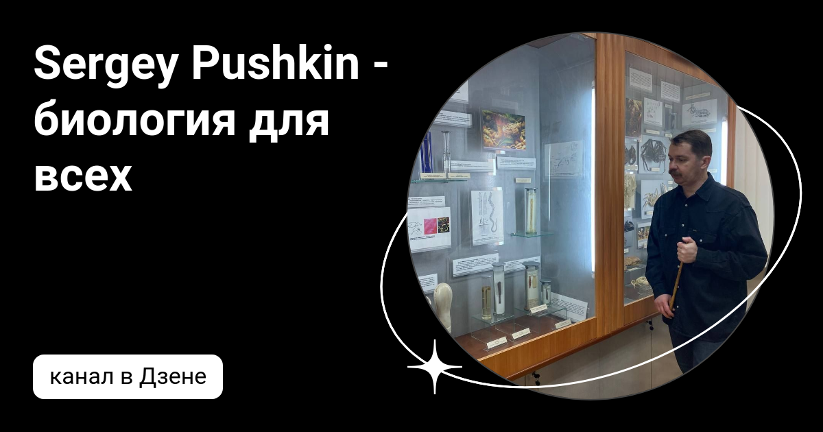 Sergey Pushkin - биология для всех | Дзен