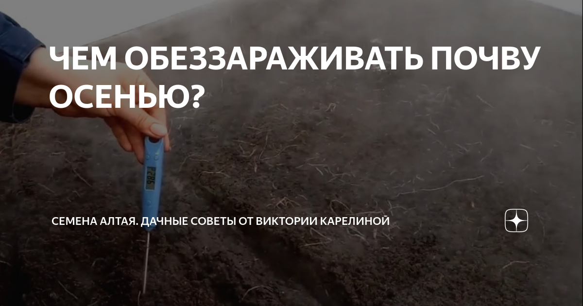 ЧЕМ ОБЕЗЗАРАЖИВАТЬ ПОЧВУ ОСЕНЬЮ Семена Алтая Дачные советы от