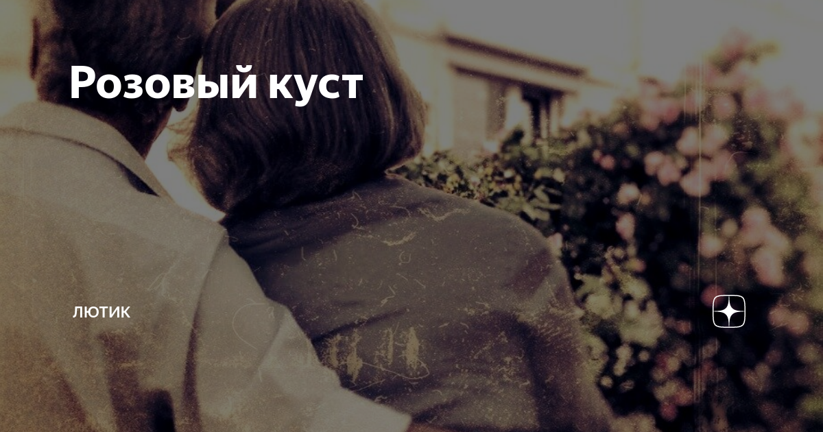 Розовый куст | Лютик | Дзен