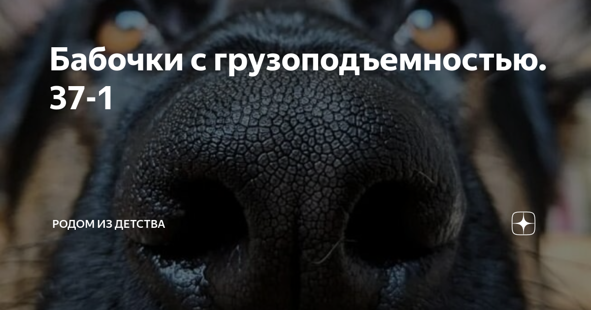 Бабочки с грузоподъемностью. 37-1 | Родом из детства | Дзен